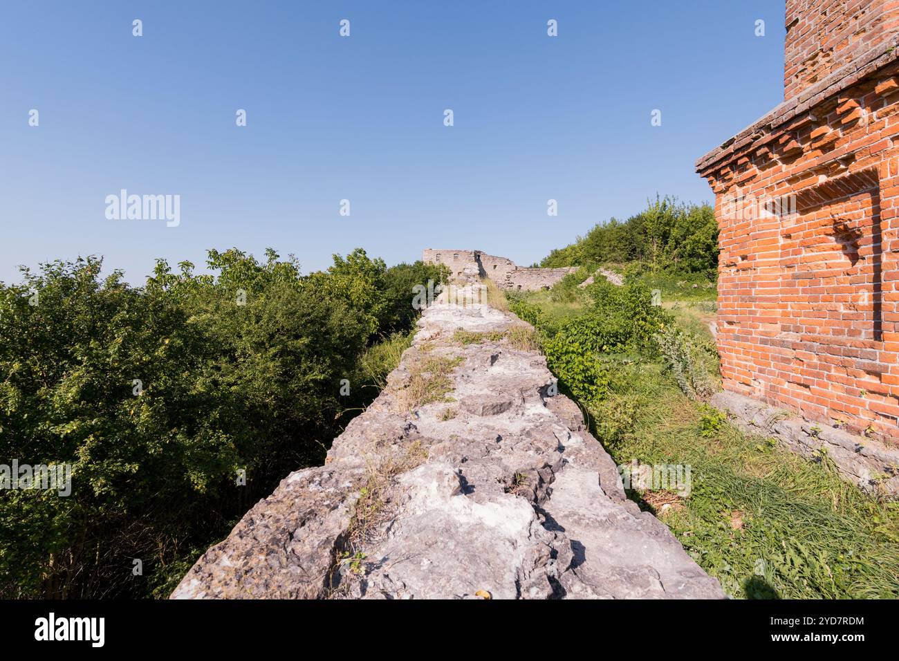 Ancient Stone Pathway Leading to Historic Ruins Surrounded by Lush ...