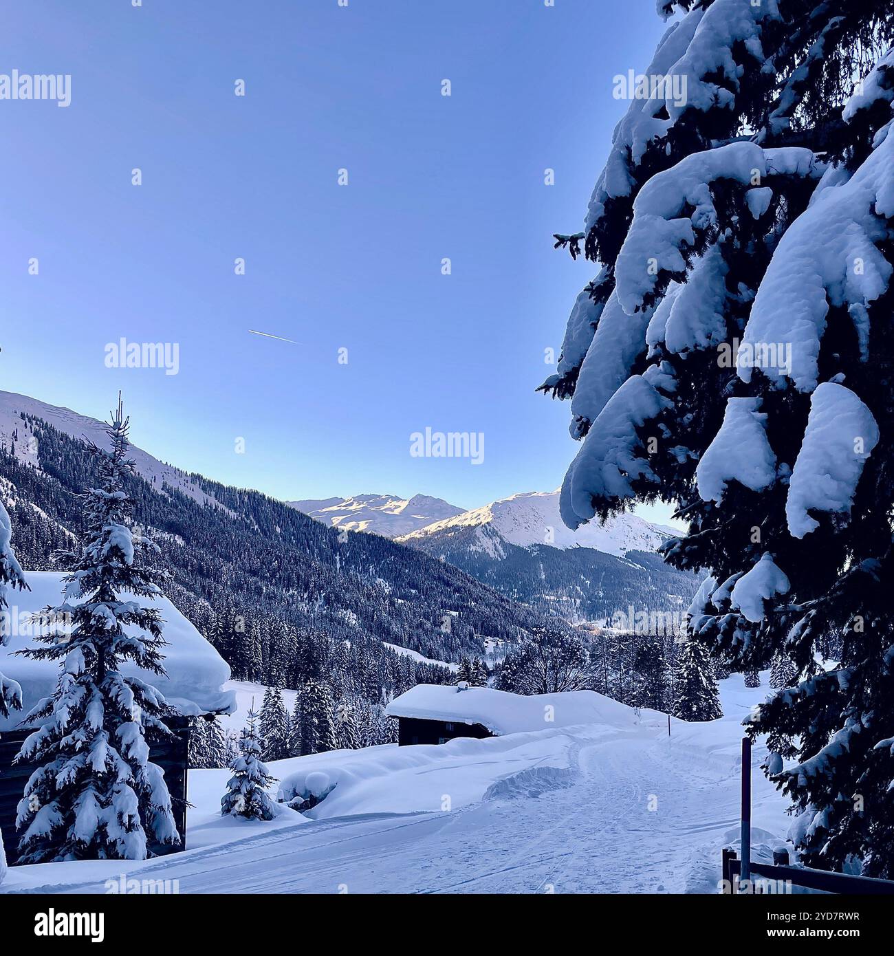 Snow covered Swiss Alps Stock Photo - Alamy