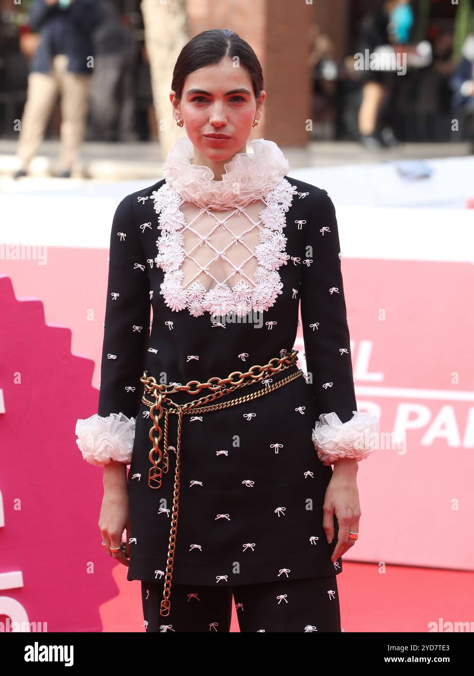 Roma Cinema Fest 2024. Rome Film Fest. Red carpet film "The bad guy 2 ...