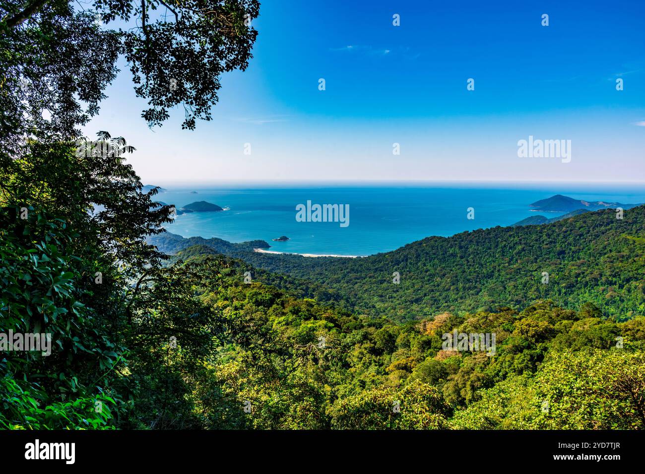 Castelhanos Beach seen from the rainforest Stock Photo - Alamy