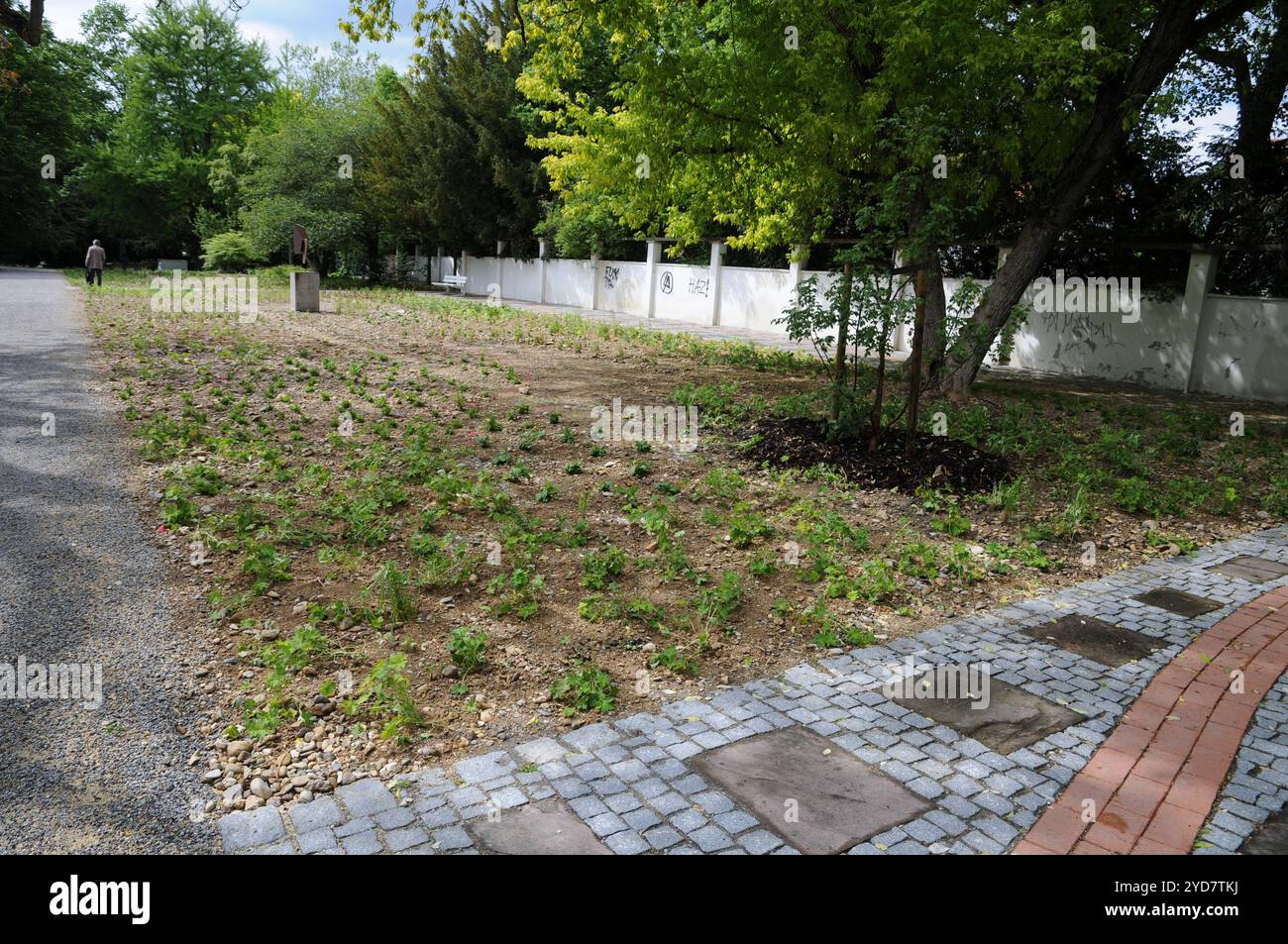Herb bed after planting Stock Photo - Alamy