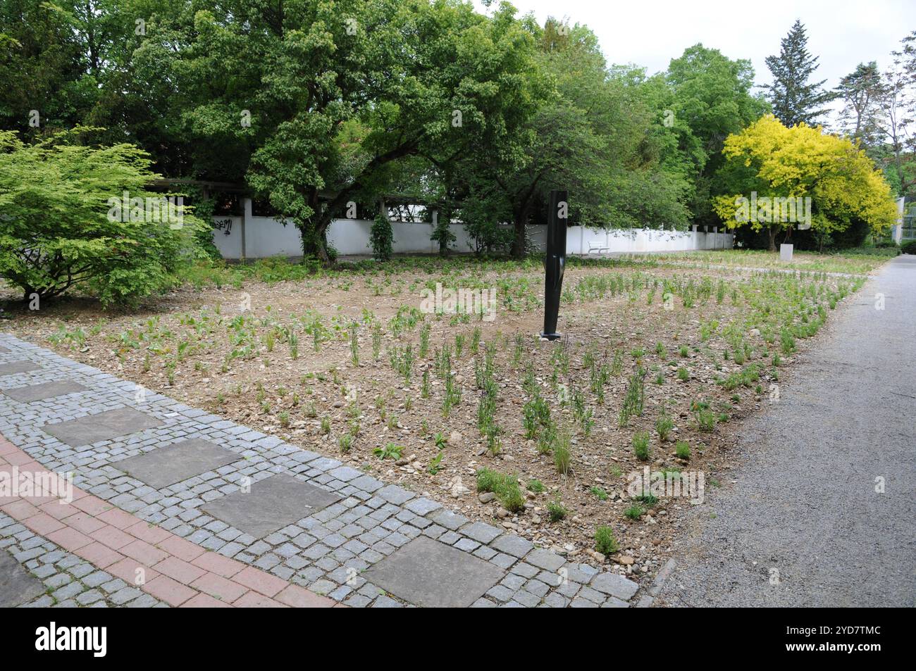 Herb bed after planting Stock Photo - Alamy