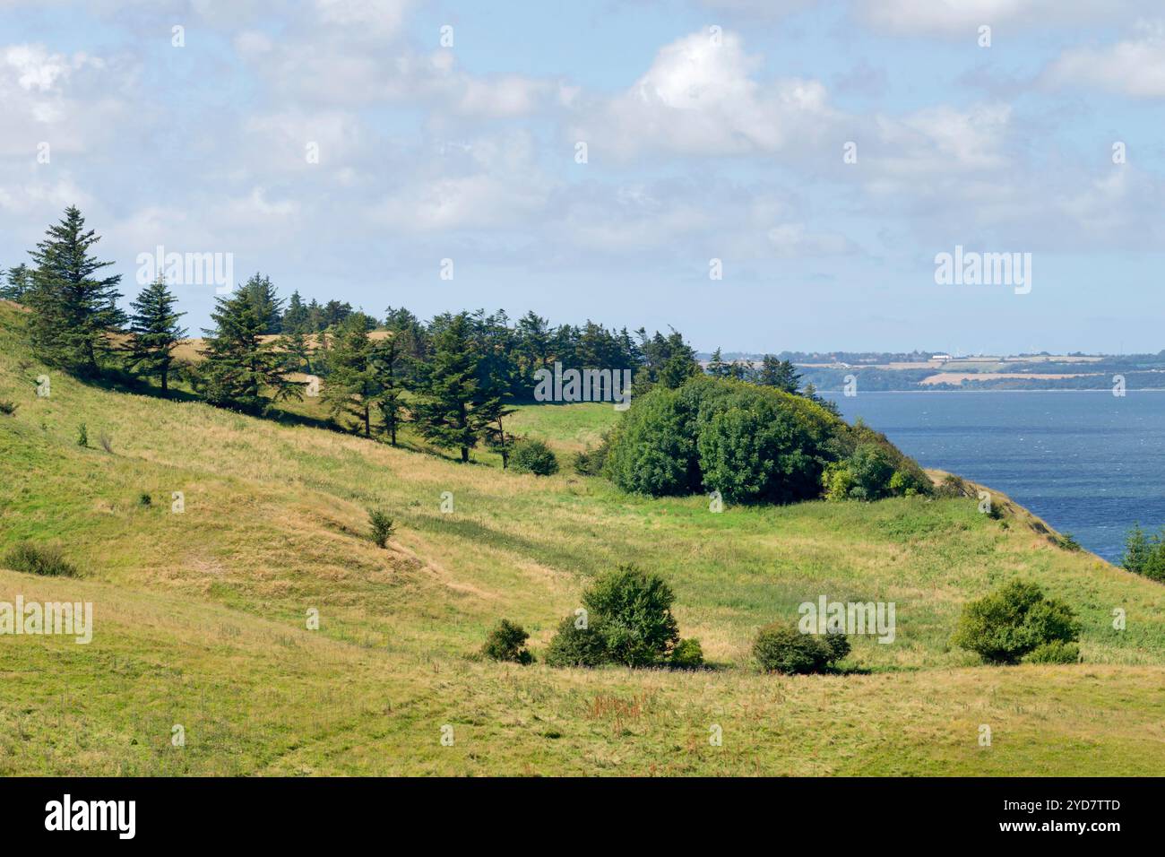 The Limfjord landscape in Denmark Stock Photo - Alamy