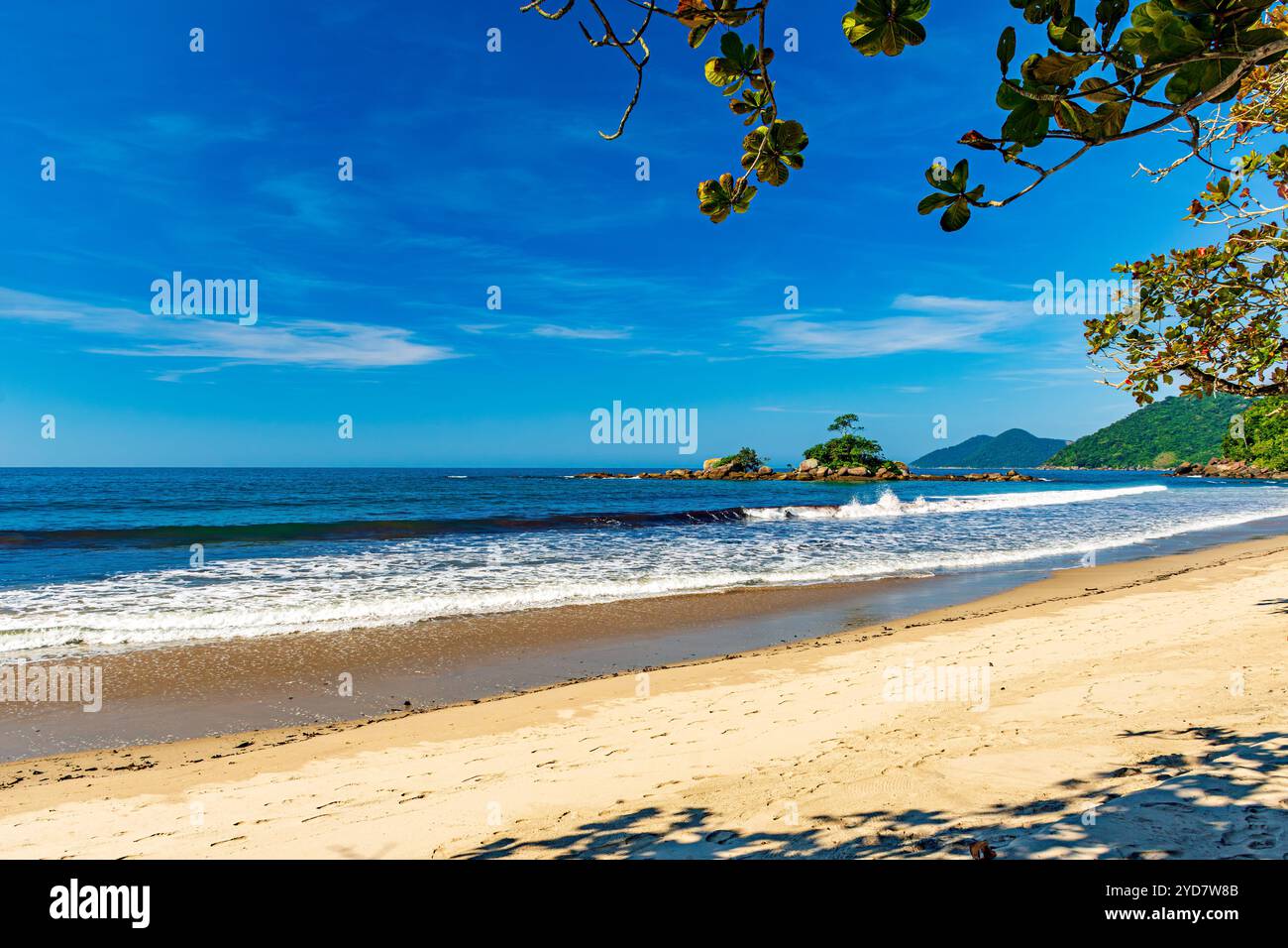 Wild beach of Castelhanos in Ilhabela Stock Photo - Alamy