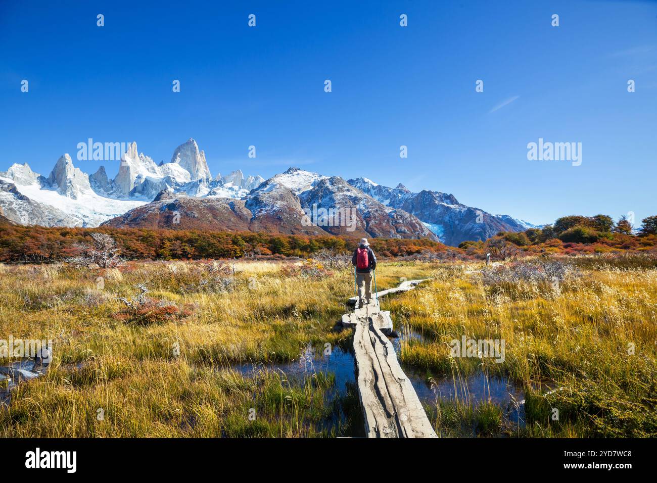 Trekking to the Fitz Roy massif in the Argentinian-Chilean Andes, South ...