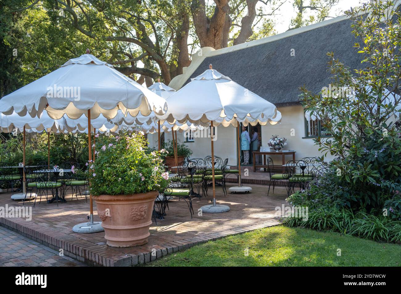 Rose Terrace Tea Room at Vergelegen Wine Estate in South Africa Stock ...