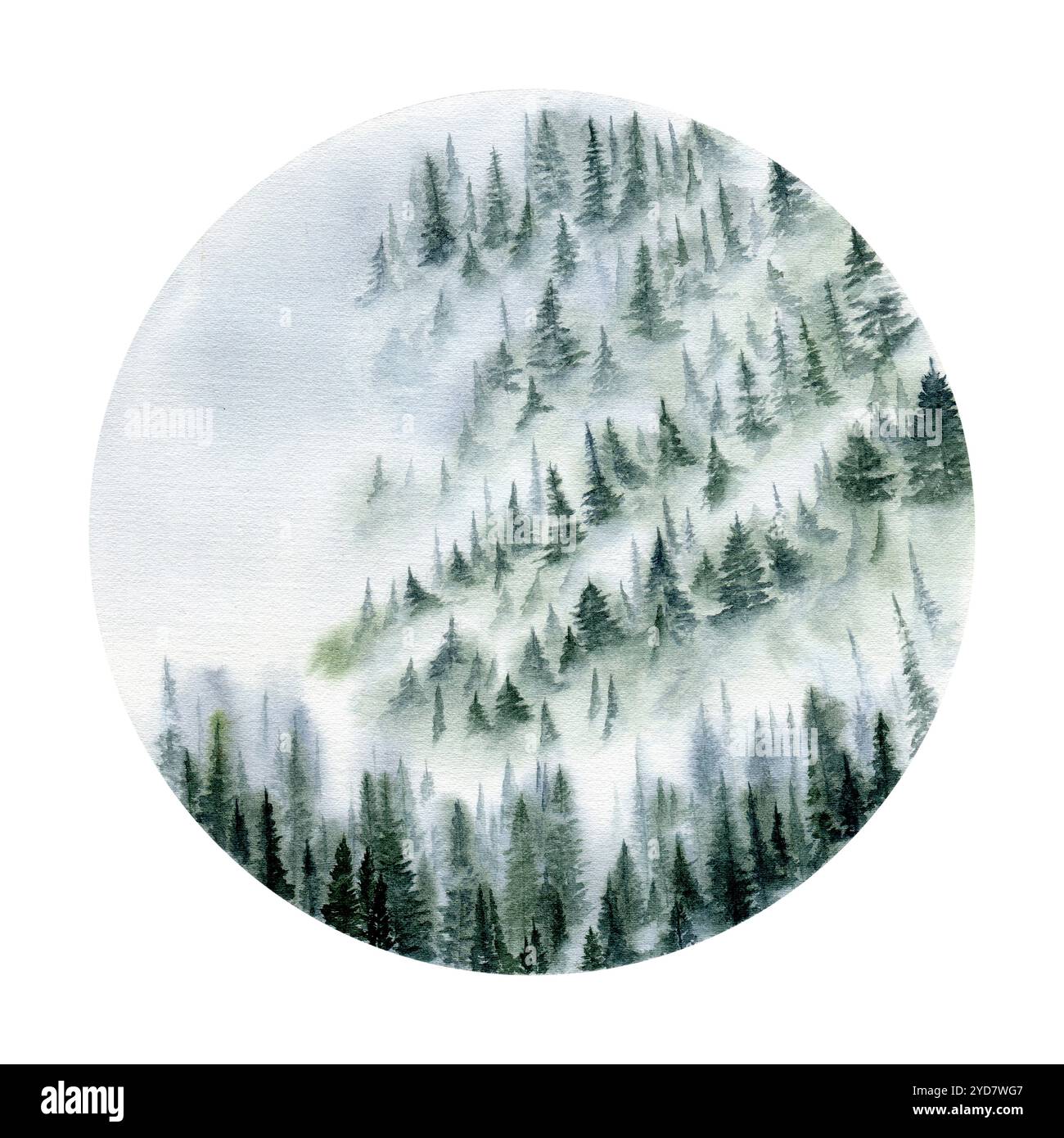 A round watercolor illustration depicting a forest in a fog, a cold ...