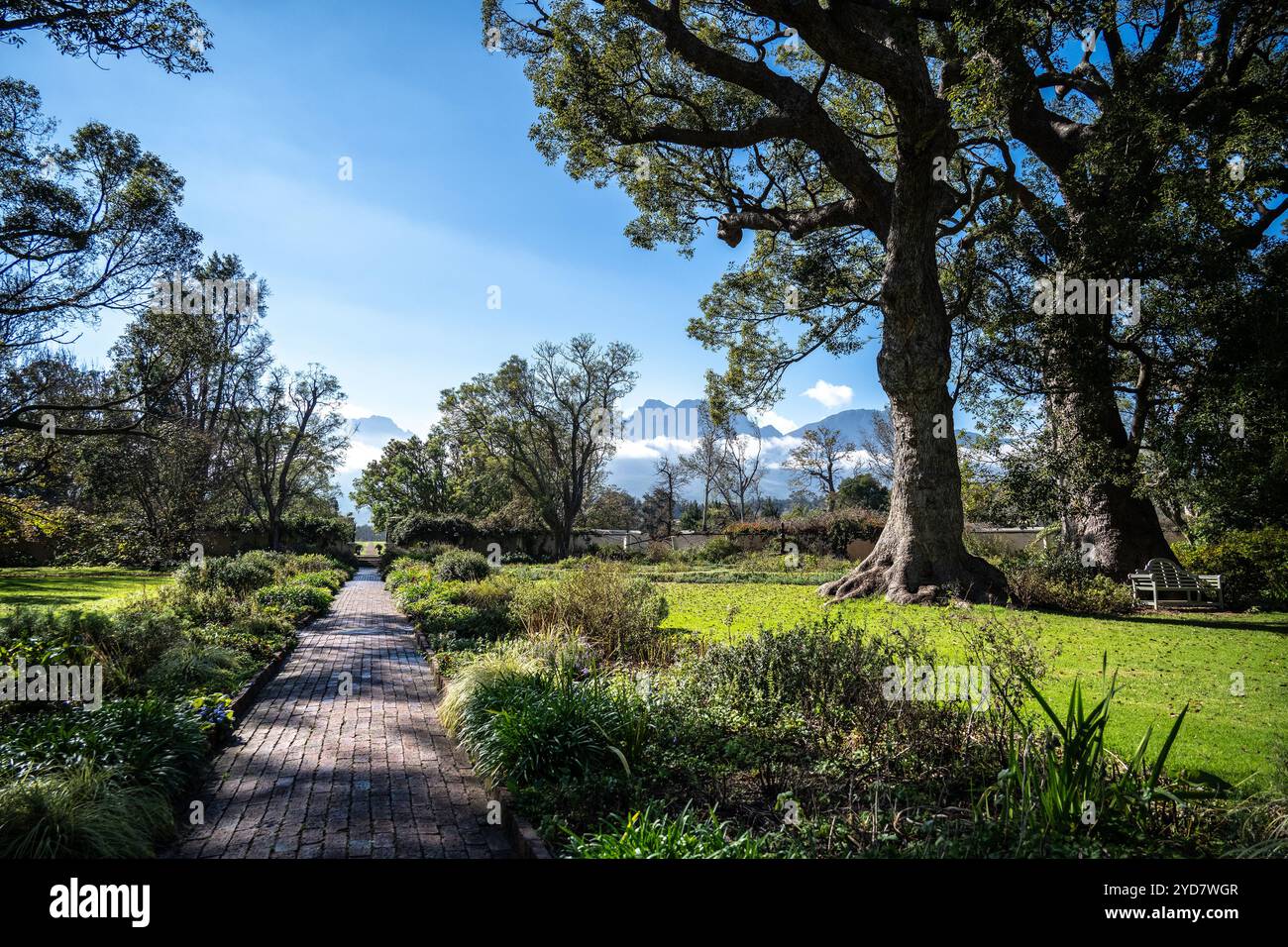 grounds and gardens at Vergelegen Wine Estate in South Africa Stock ...