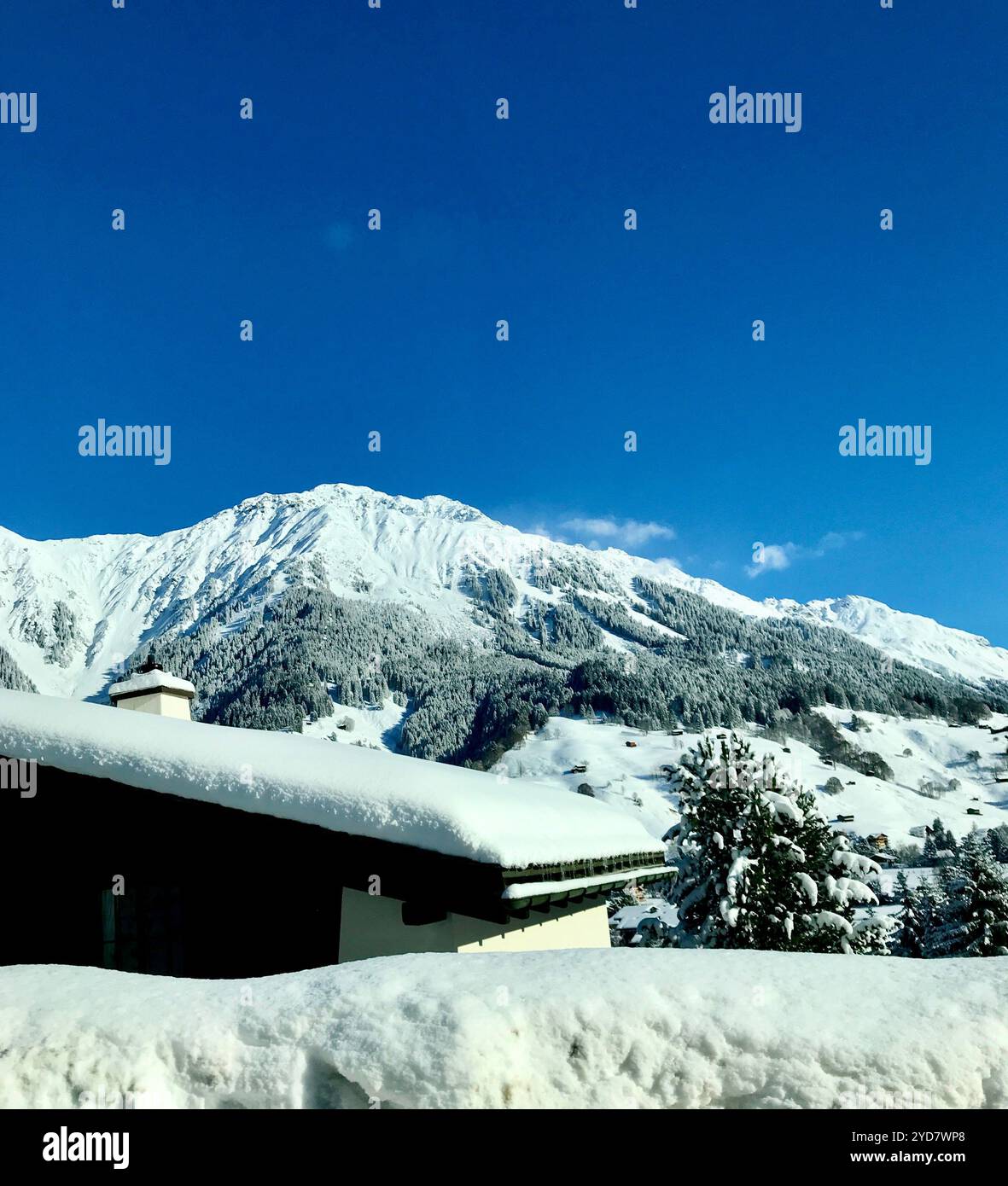 Beautiful mountain scenery trees hi-res stock photography and images ...