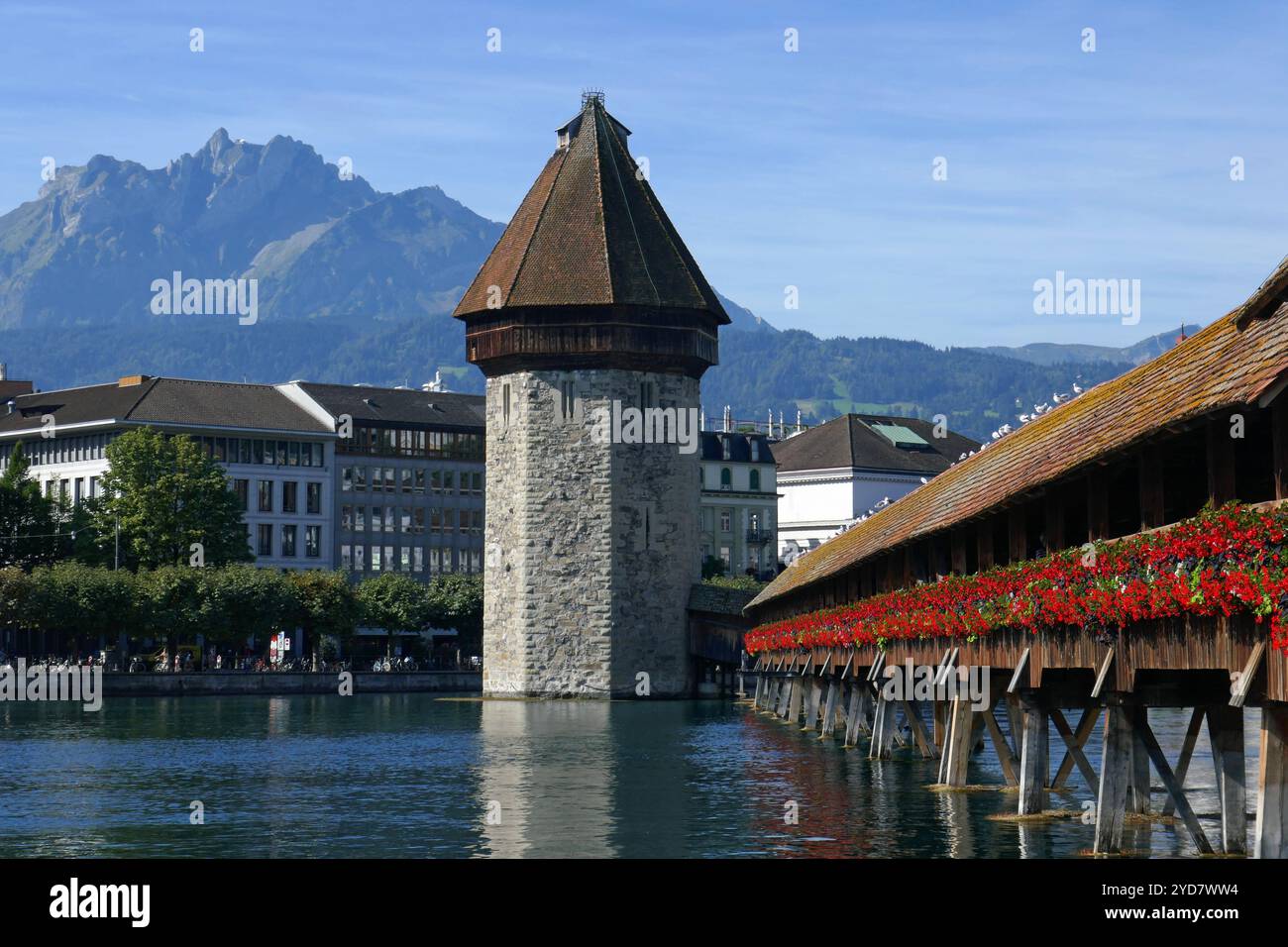 Chapel Bridge and Water Tower in Lucerne in Switzerland Stock Photo - Alamy