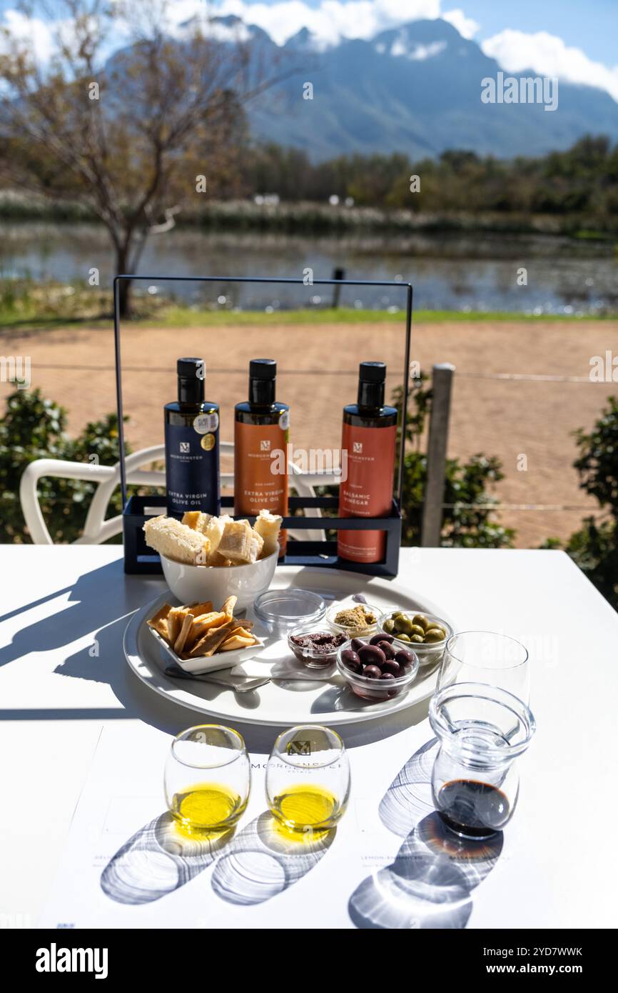 olive oil tasting at Morgenster estate in South Africa Stock Photo - Alamy