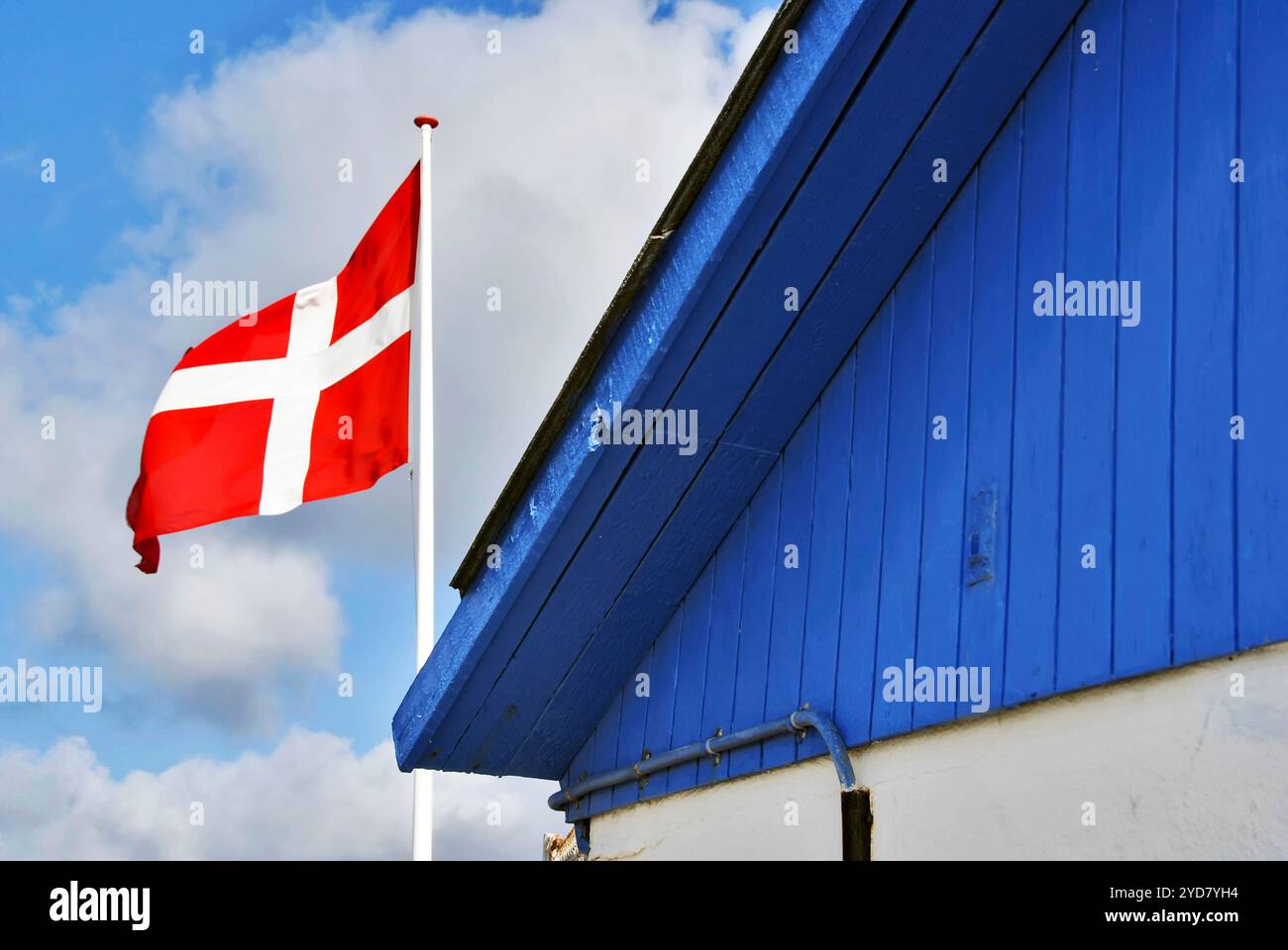 The Danish national flag Dannebrog in the wind on the North Sea coast ...