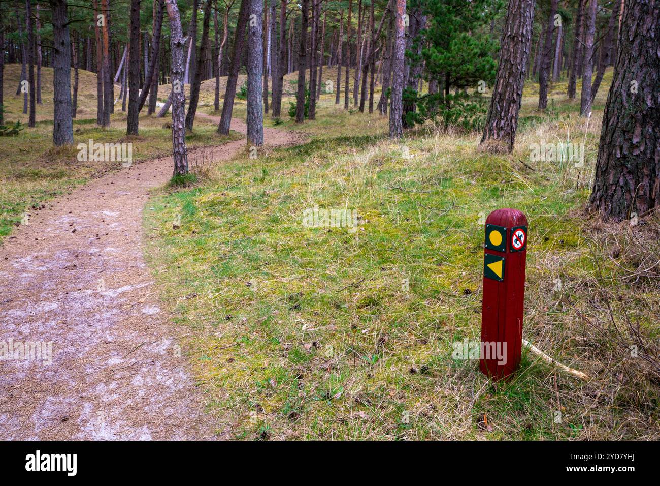 Wooden path sign post in the forest in Denmark Stock Photo - Alamy