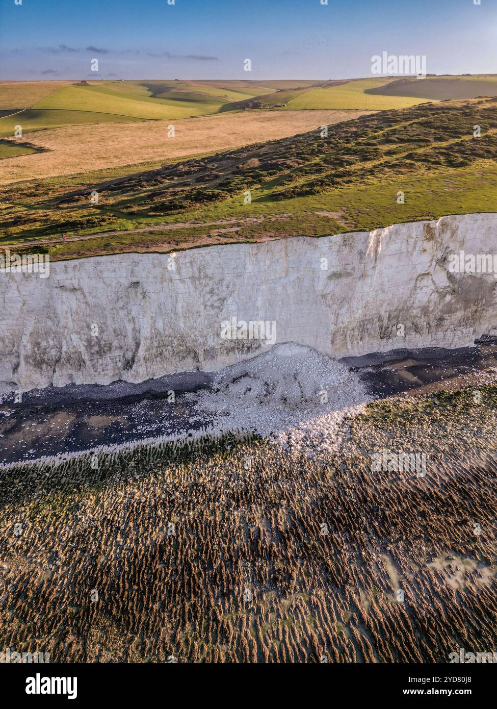 a large chalk cliff fall on the beach between Birling Gap and Beachy ...