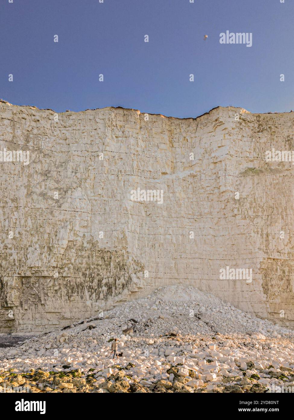 a large chalk cliff fall on the beach between Birling Gap and Beachy ...