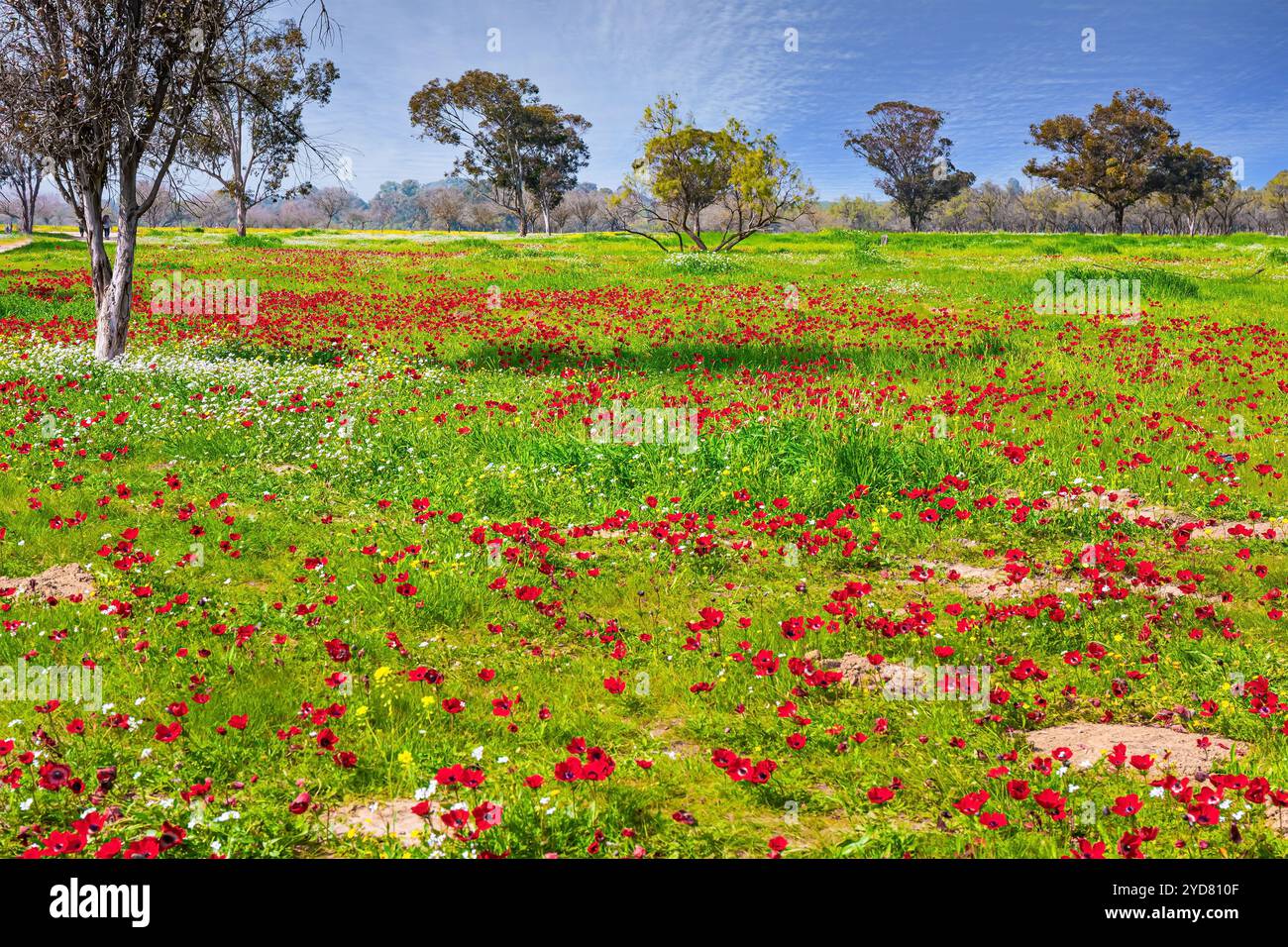 Neighborhoods of Kibbutz Be'eri Stock Photo - Alamy