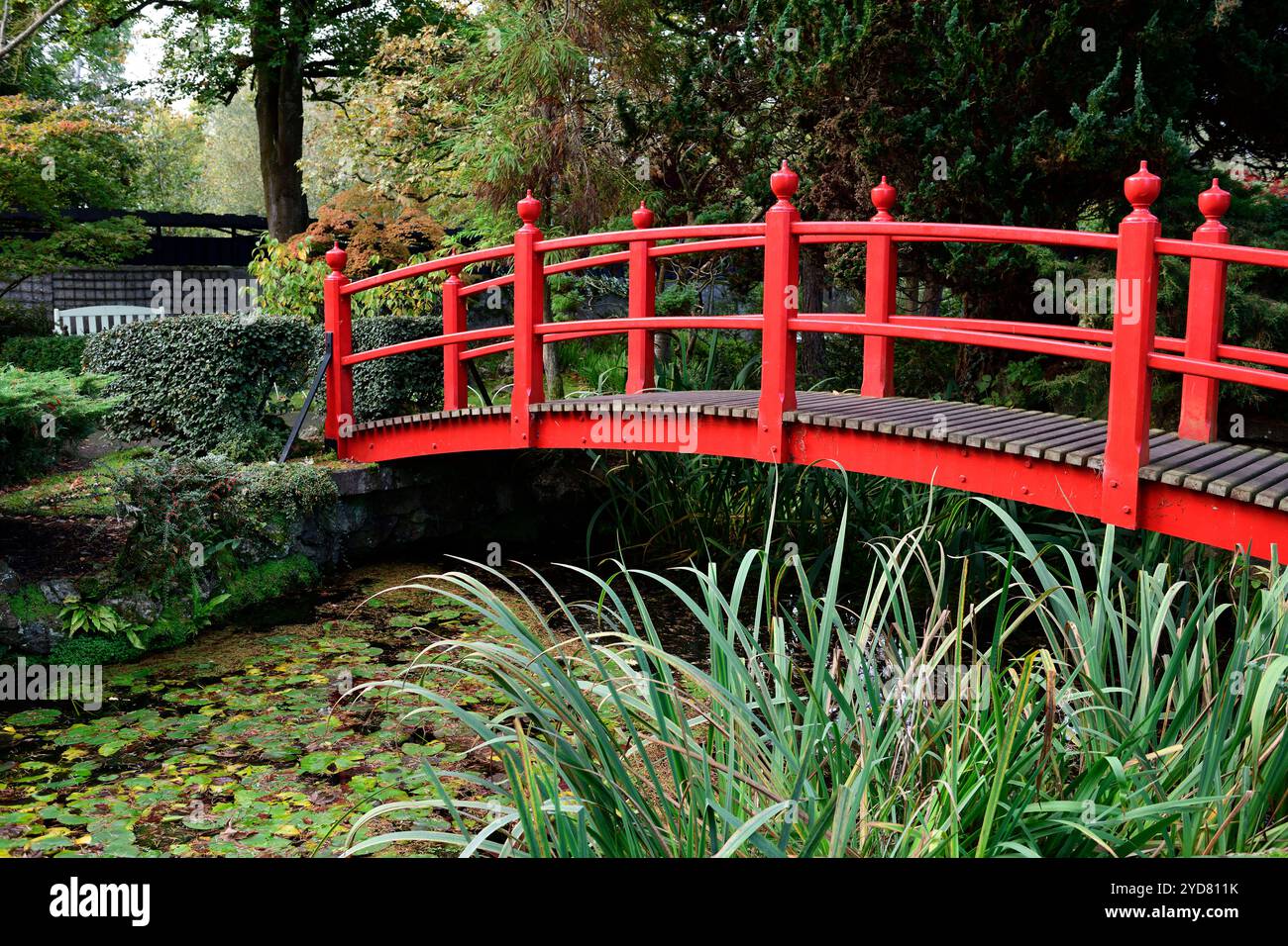red bridge,red japanese bridge,wooden red bridge,wooden red bridge in ...