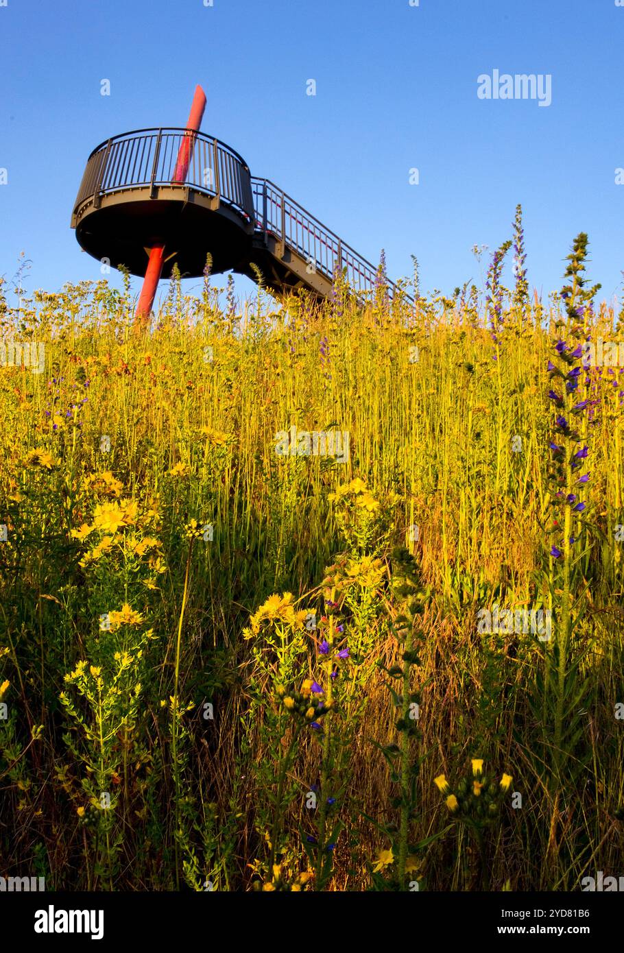 Aussichtsplattform auf der Halde Pluto, Herne, Ruhrgebiet, Nordrhein ...