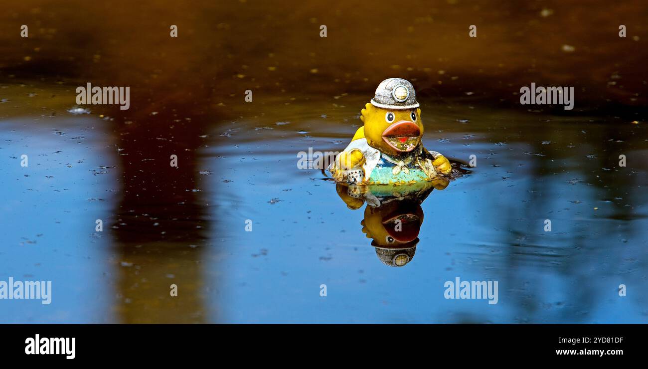 Bergmann rubber duck floating on water basin of the Hansa coking plant ...