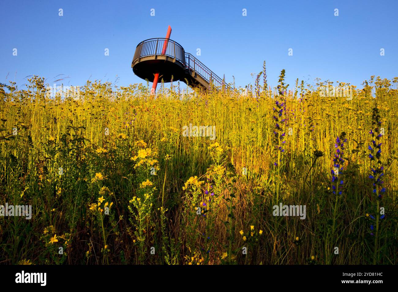 Aussichtsplattform auf der Halde Pluto, Herne, Ruhrgebiet, Nordrhein ...