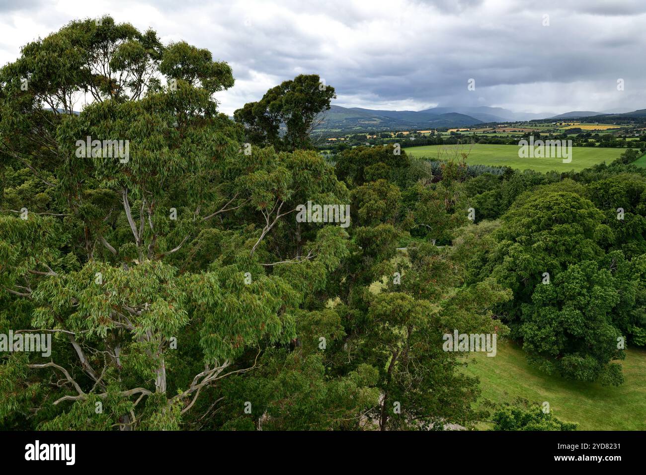 Avondale hi-res stock photography and images - Alamy