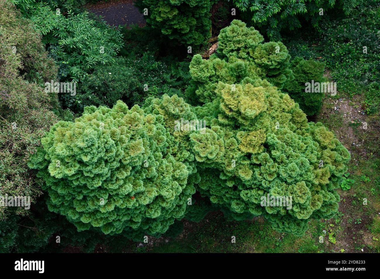 Avondale hi-res stock photography and images - Alamy