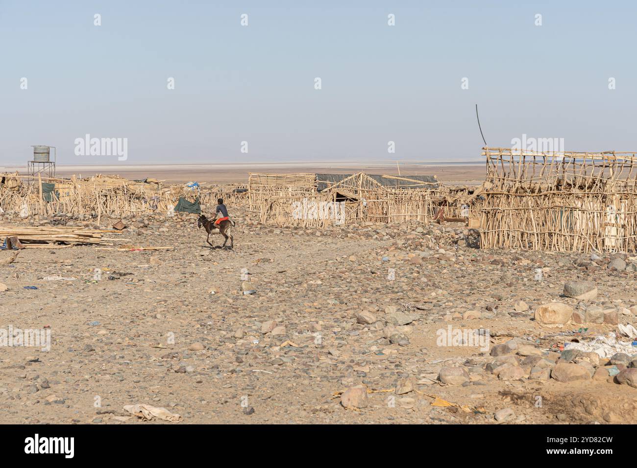 Traditional housing in a remote indigenous Afar village in the Danakil ...