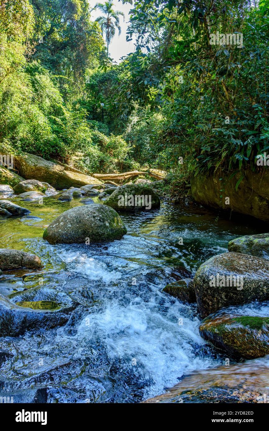 River crossing the tropical forest Stock Photo - Alamy