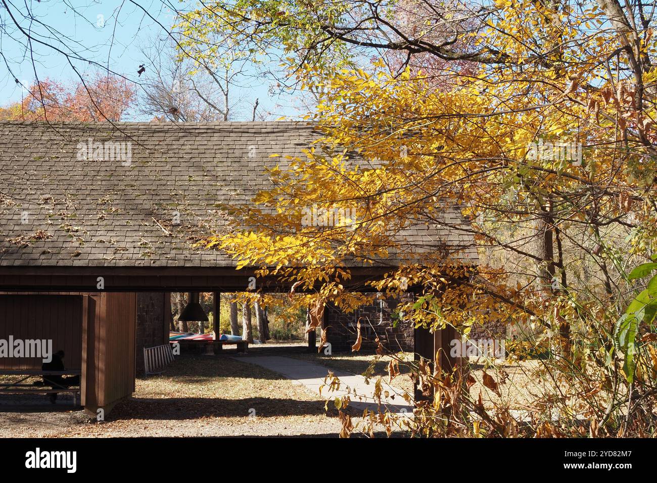 An autumn afternoon at Tyler State Park in Pennsylvania Stock Photo - Alamy