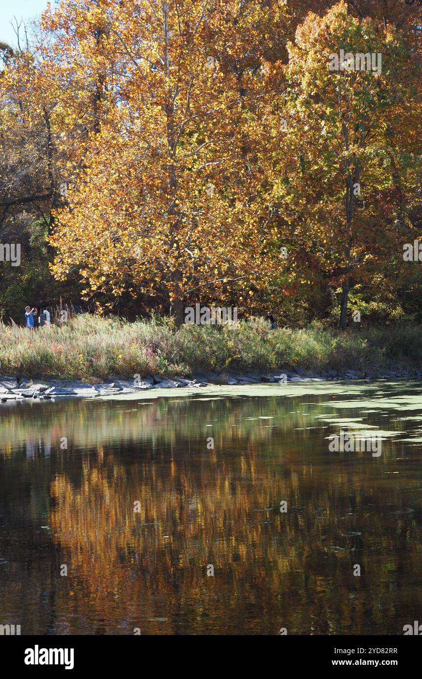 An autumn afternoon at Tyler State Park in Pennsylvania Stock Photo - Alamy