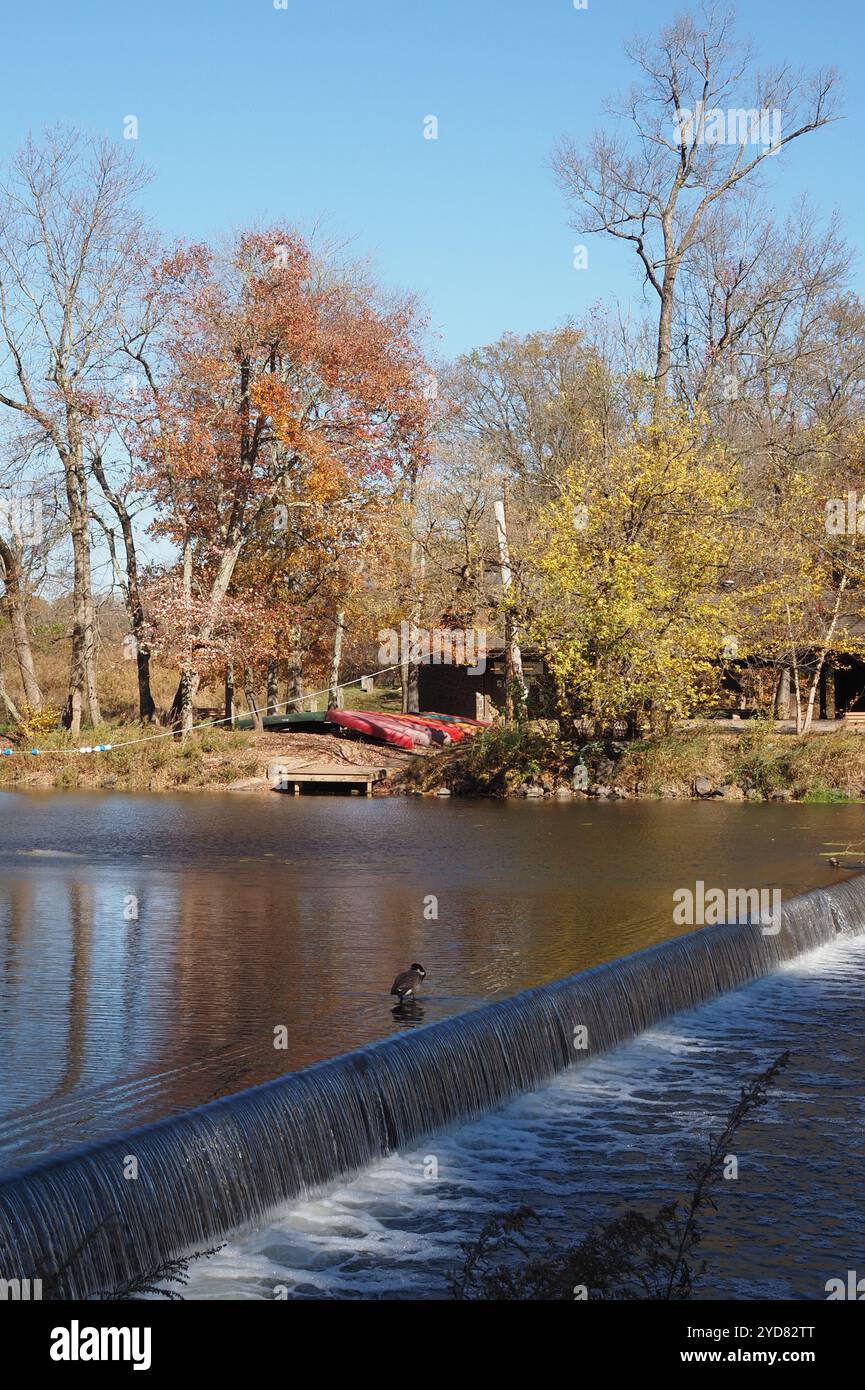 An autumn afternoon at Tyler State Park in Pennsylvania Stock Photo - Alamy