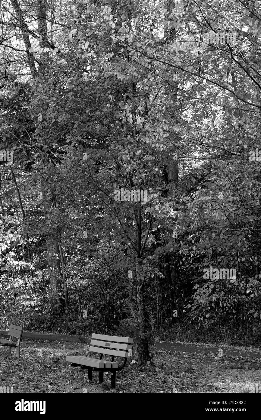 Tyler park Black and White Stock Photos & Images - Alamy