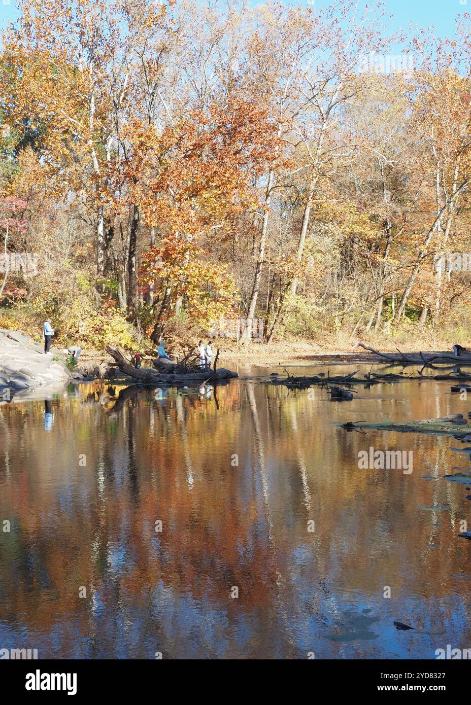 An autumn afternoon at Tyler State Park in Pennsylvania Stock Photo - Alamy