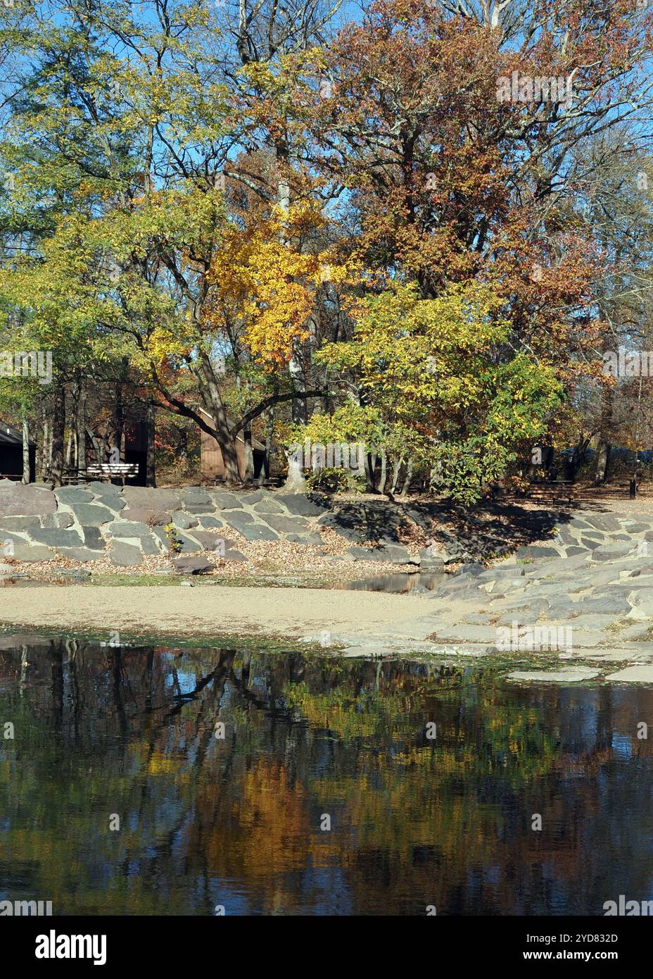 An autumn afternoon at Tyler State Park in Pennsylvania Stock Photo - Alamy