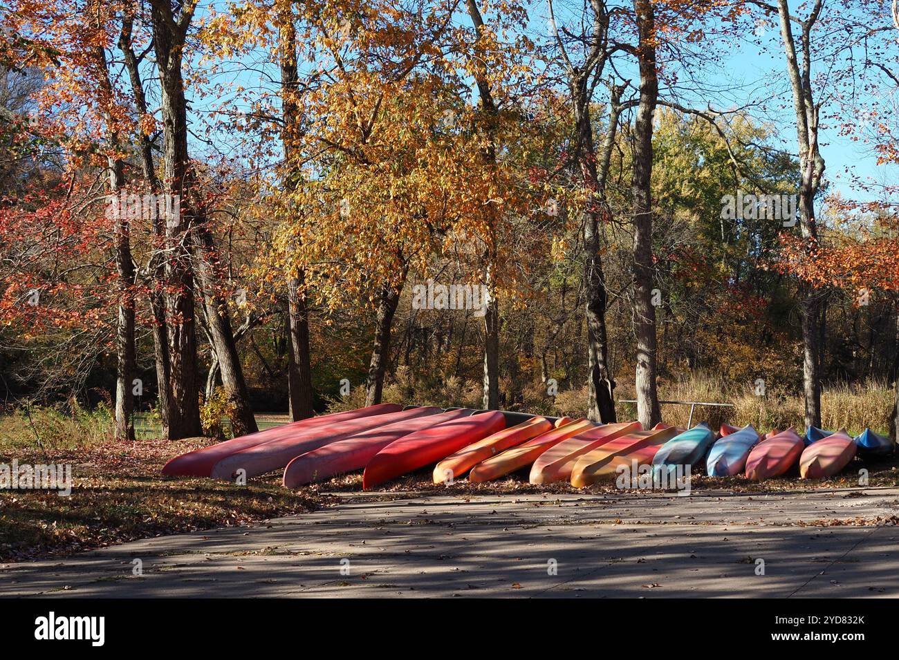 An autumn afternoon at Tyler State Park in Pennsylvania Stock Photo - Alamy