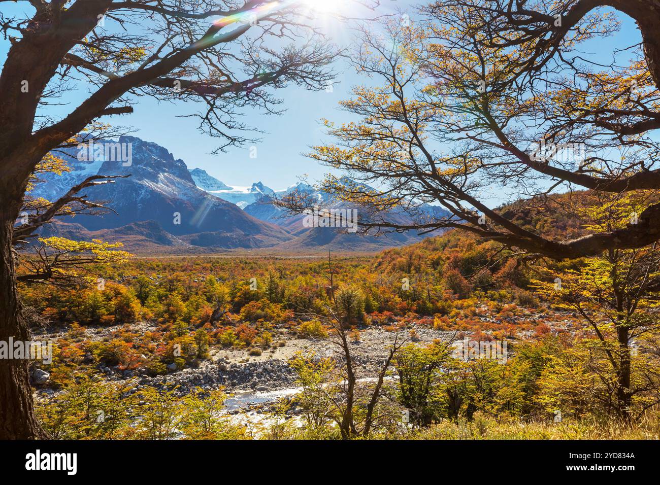 Autumn in Patagonia Stock Photo - Alamy