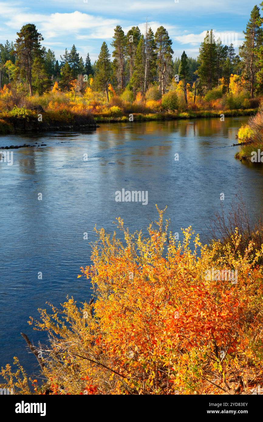 Deschutes Wild and Scenic River from Deschutes River Trail, Deschutes ...