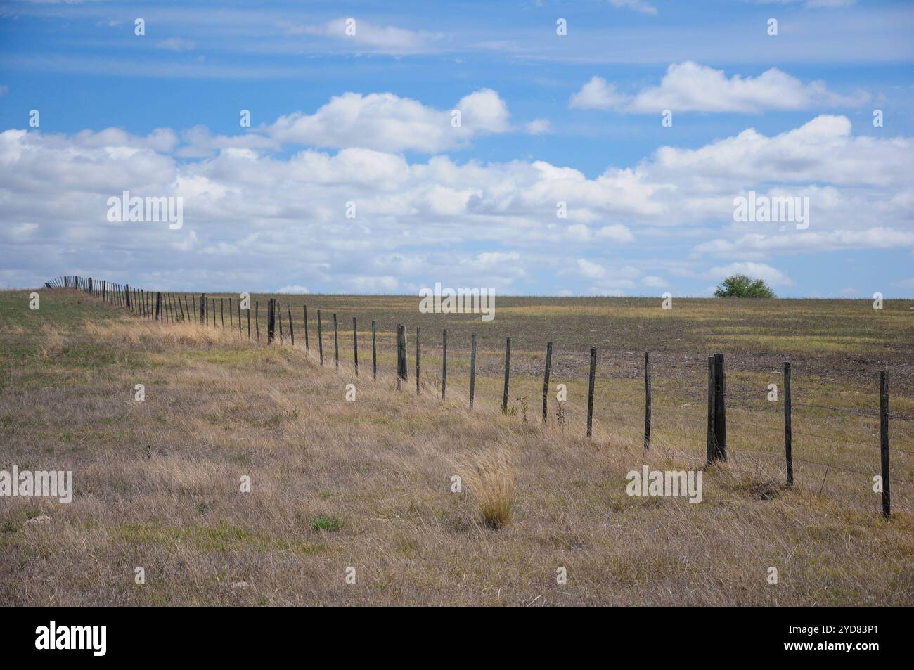 Rural landscape with fence dividing fields and vibrant blue sky in ...