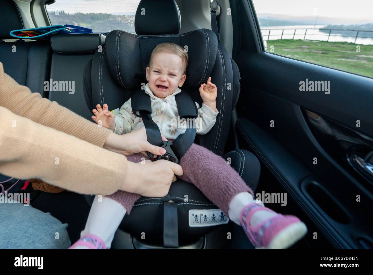 Mother puts her toddler baby into the car seat and fastens seat belt ...