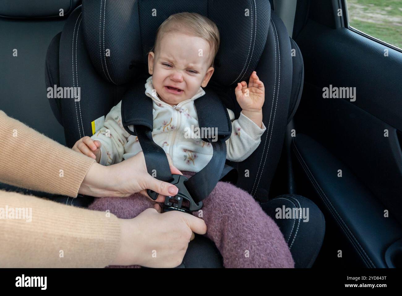 Crying toddler girl sitting in safety car seat. Baby is sad, upset and ...