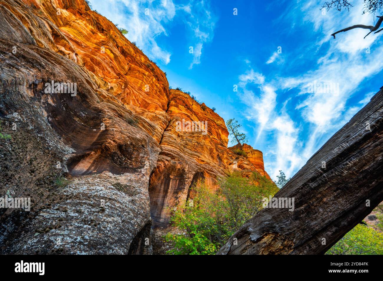 Zion National Park's Clear Creek Wash while hiking in the fall of 2024 ...