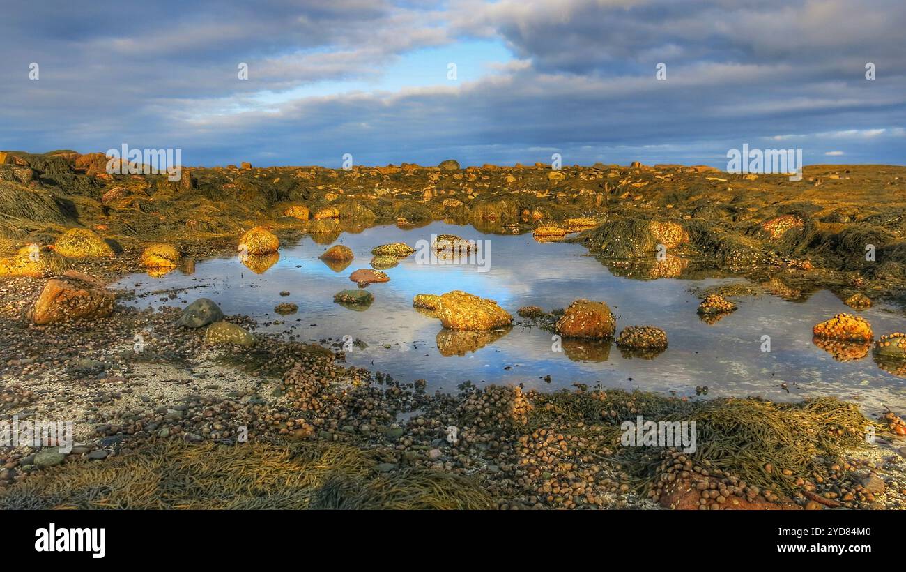 Acadia National Park Maine Wonderland Trail Tide Pool Reflections and ...