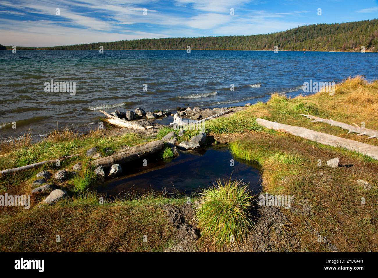 Hot springs along Paulina Lakeshore Loop Trail, Newberry National ...