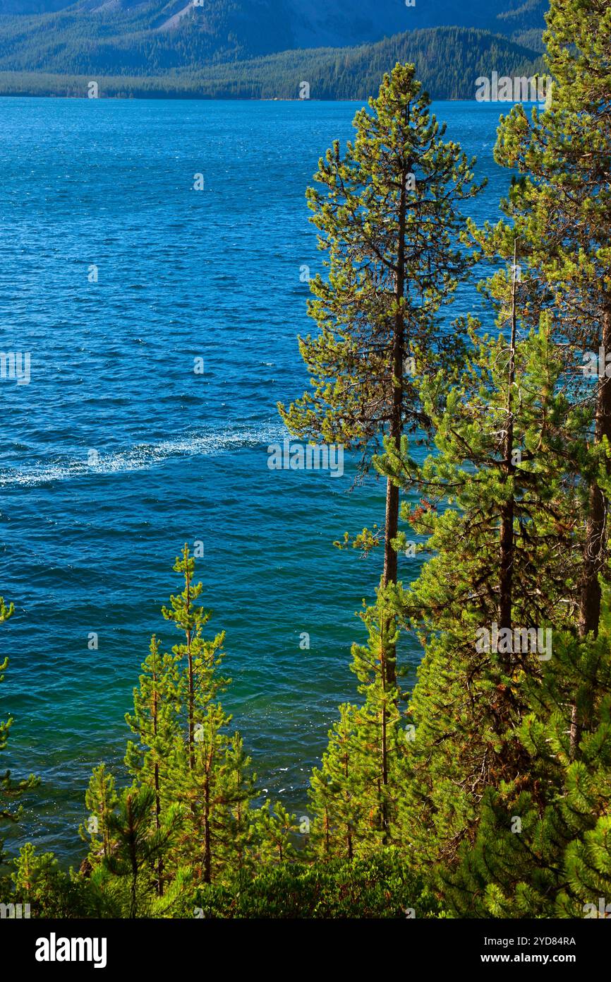 Paulina Lake from Paulina Lakeshore Loop Trail, Newberry National ...