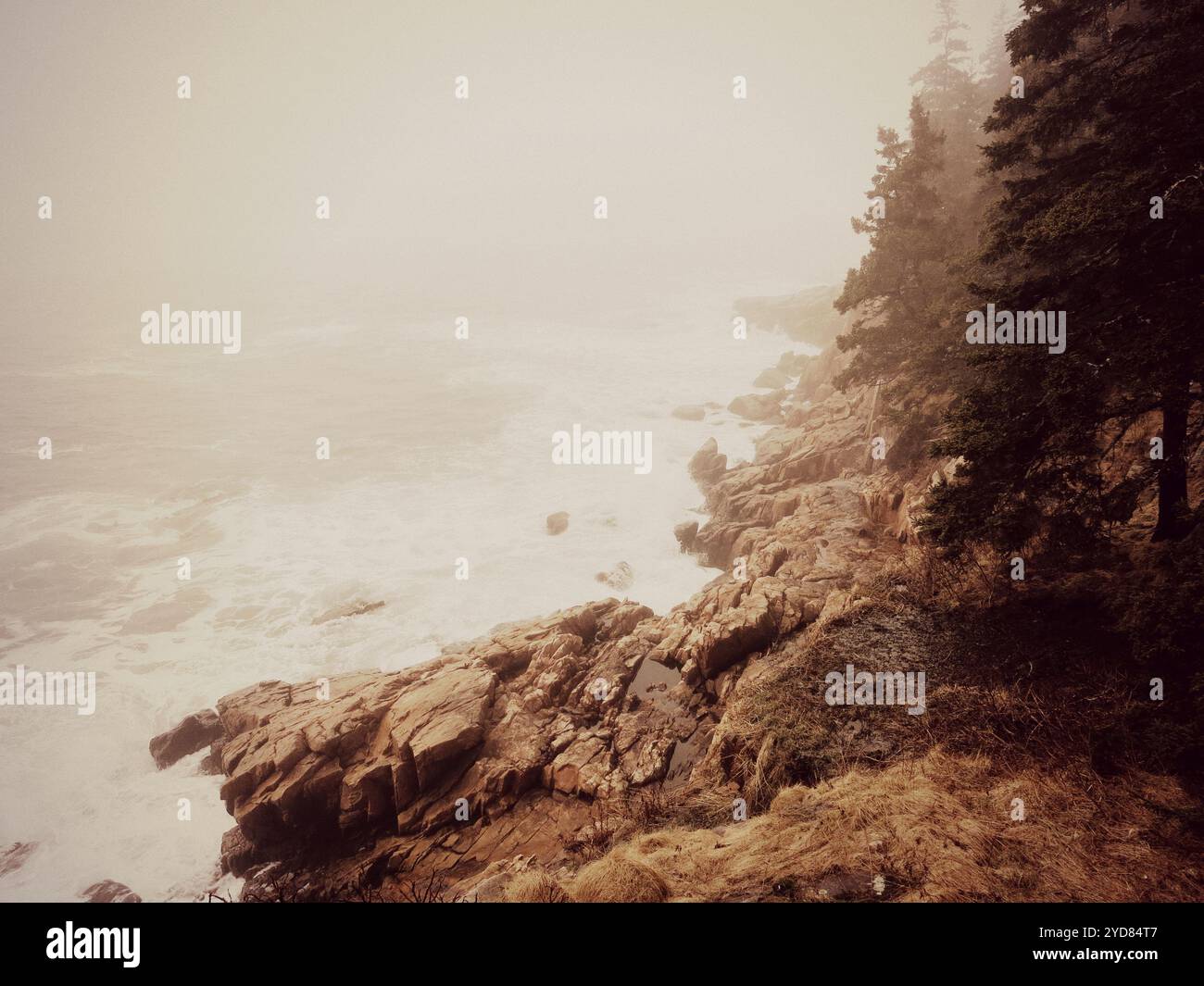 Waves Crashing Against Rugged Cliffs in Acadia National Park, Maine ...