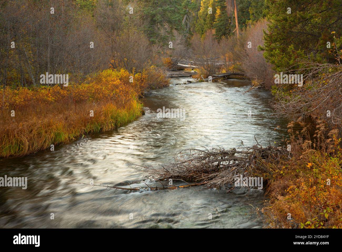 Odell Creek, Cascade Lakes National Scenic Byway, Deschutes National ...