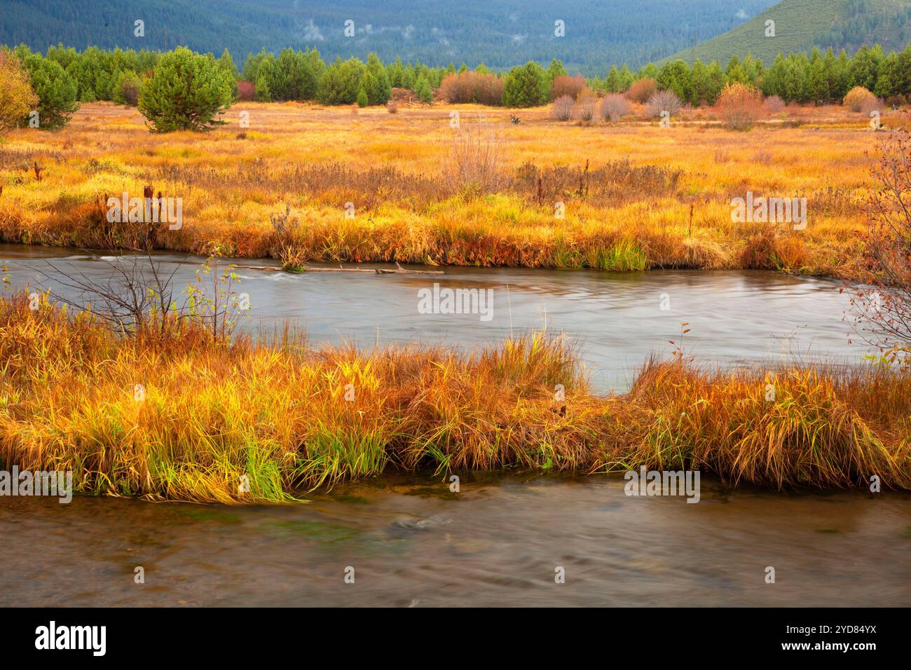 Odell Creek, Cascade Lakes National Scenic Byway, Deschutes National ...