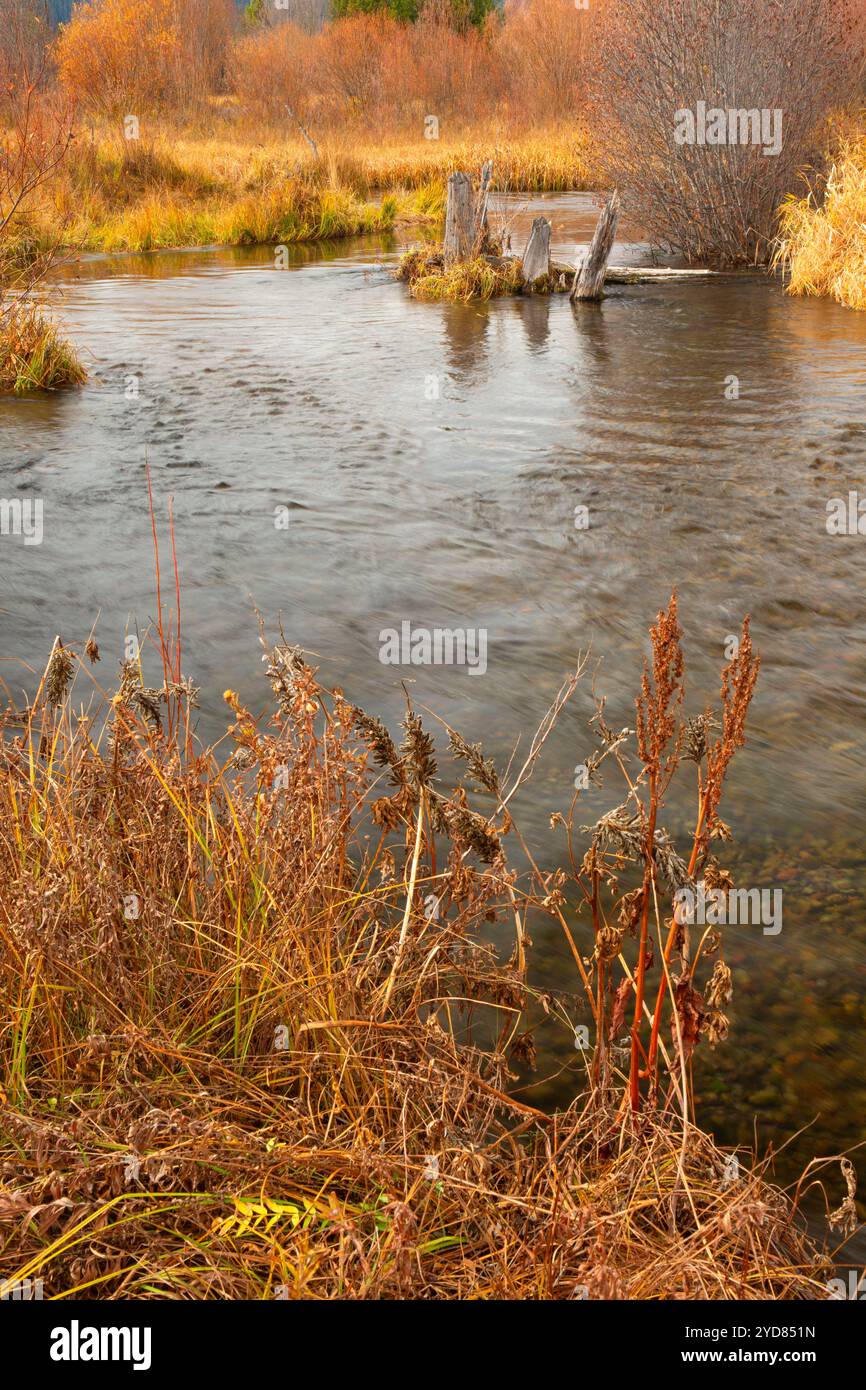 Odell Creek, Cascade Lakes National Scenic Byway, Deschutes National ...
