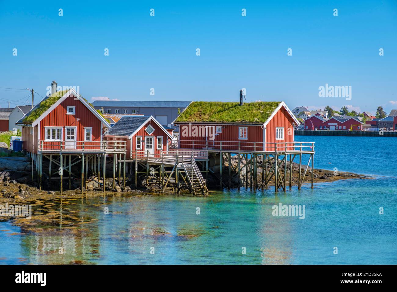 Red Cabins on Stilts in a Norwegian Fjord, Reine, Lofoten, Norway Stock ...