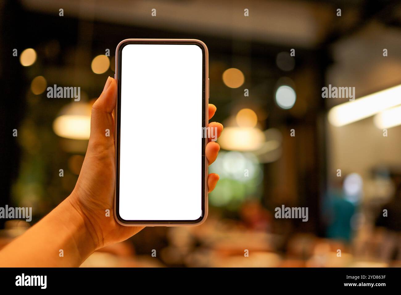 Women's hands holding cell telephone blank copy space screen ...